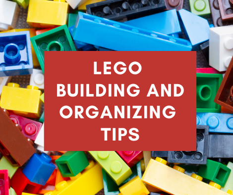 LEGO Building and Organization Tips with Mark & Steven — Homegrown Learners