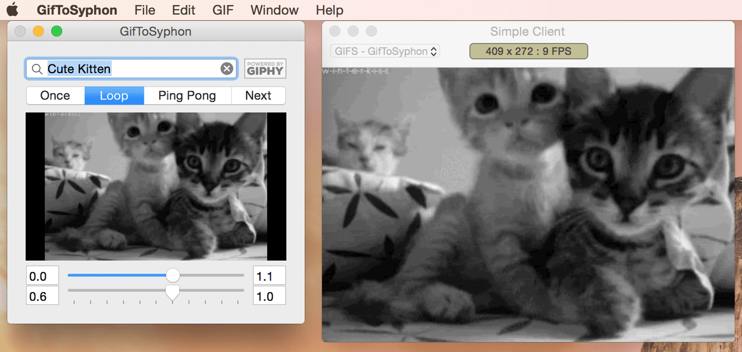 GifToSyphon: Free Giphy Search To Syphon Tool for Mac VJs — VDMX - MAC ...