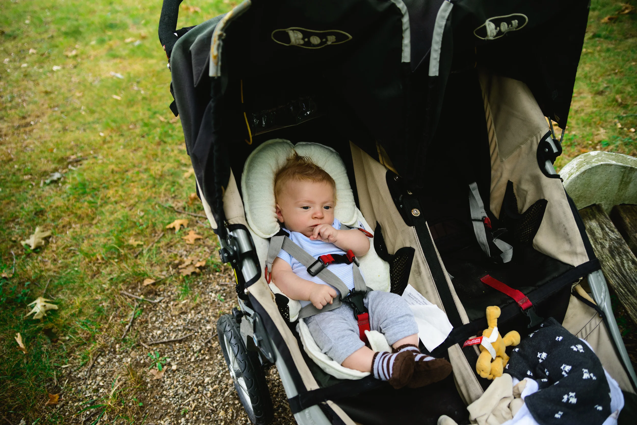 Our favorite places to walk with a stroller on Long Island | Long ...
