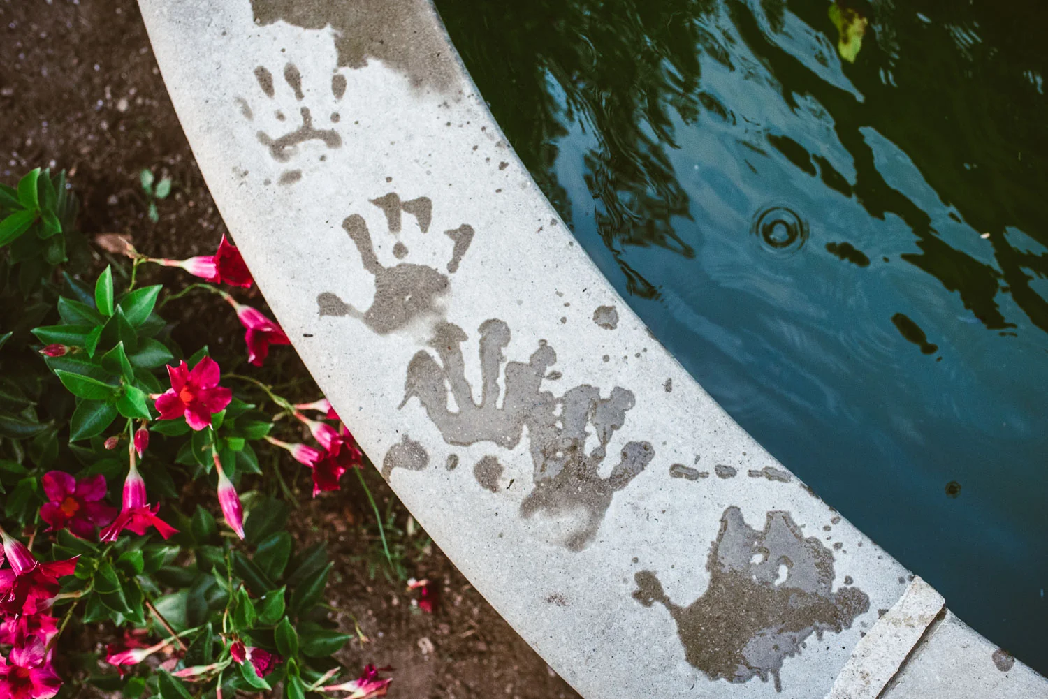 15 Tips for Staying Motivated During a Photo-a-Day Project | Long ...