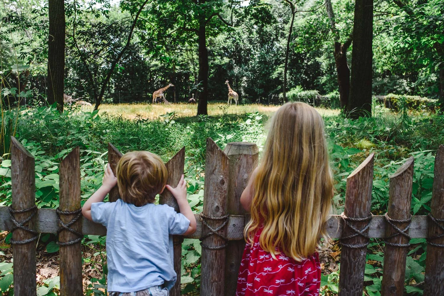 Our Spring Bucket List! | Long Island Mom