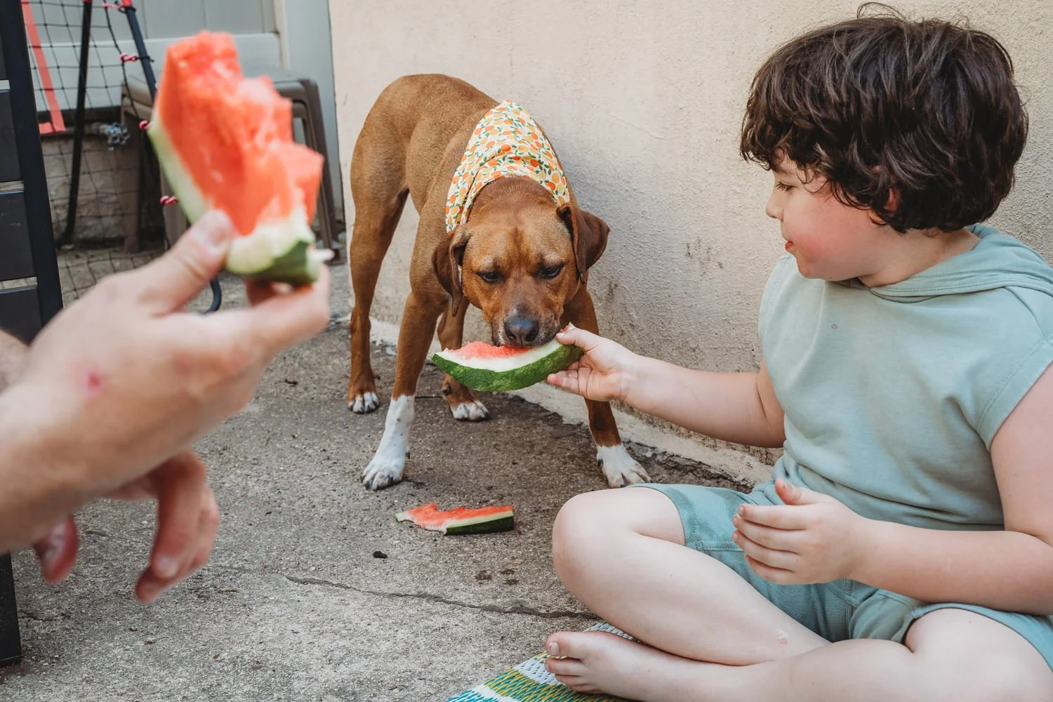 Francesca Russell Photography : Long Island & NYC Documentary Family ...