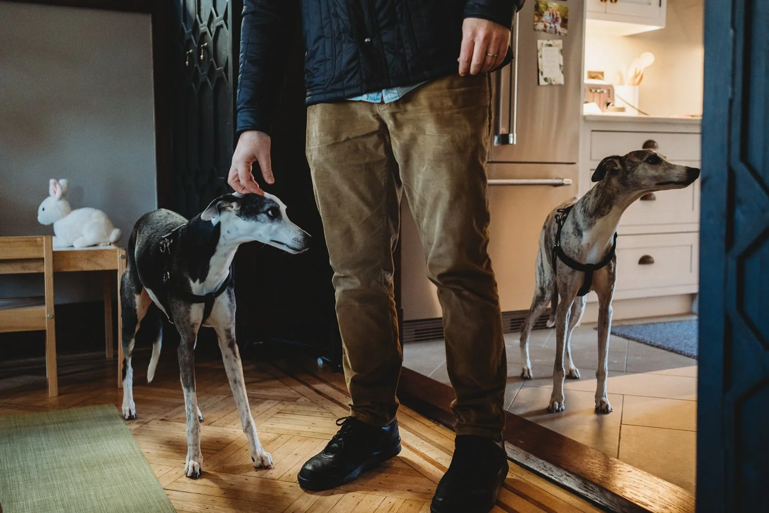 Francesca Russell Photography : Long Island & NYC Documentary Family ...
