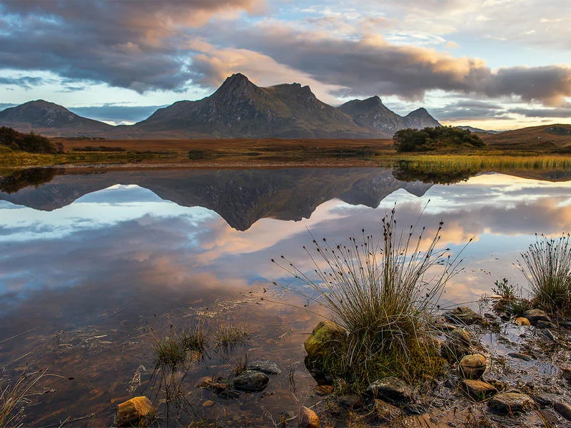 NIPA Stars — BELFAST PHOTO IMAGING CLUB