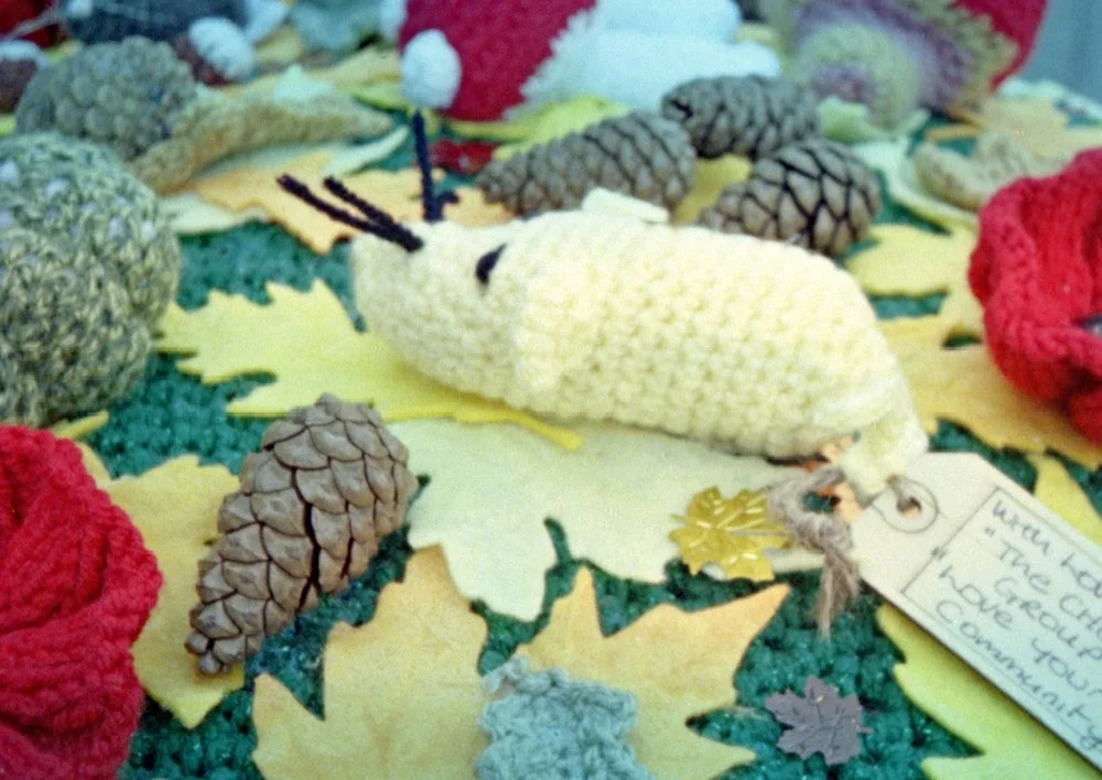 Minox Photos of Hull University — robmiles.com