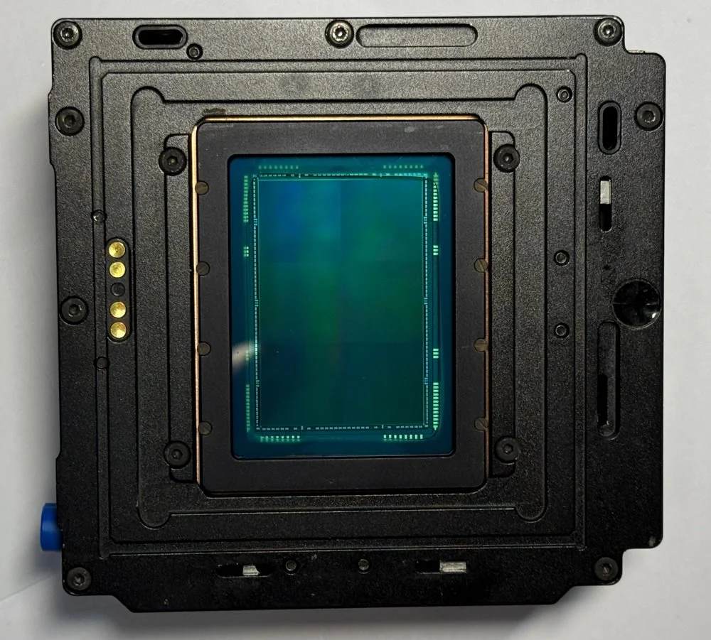 Digital Sensor Frog Kissing — robmiles.com