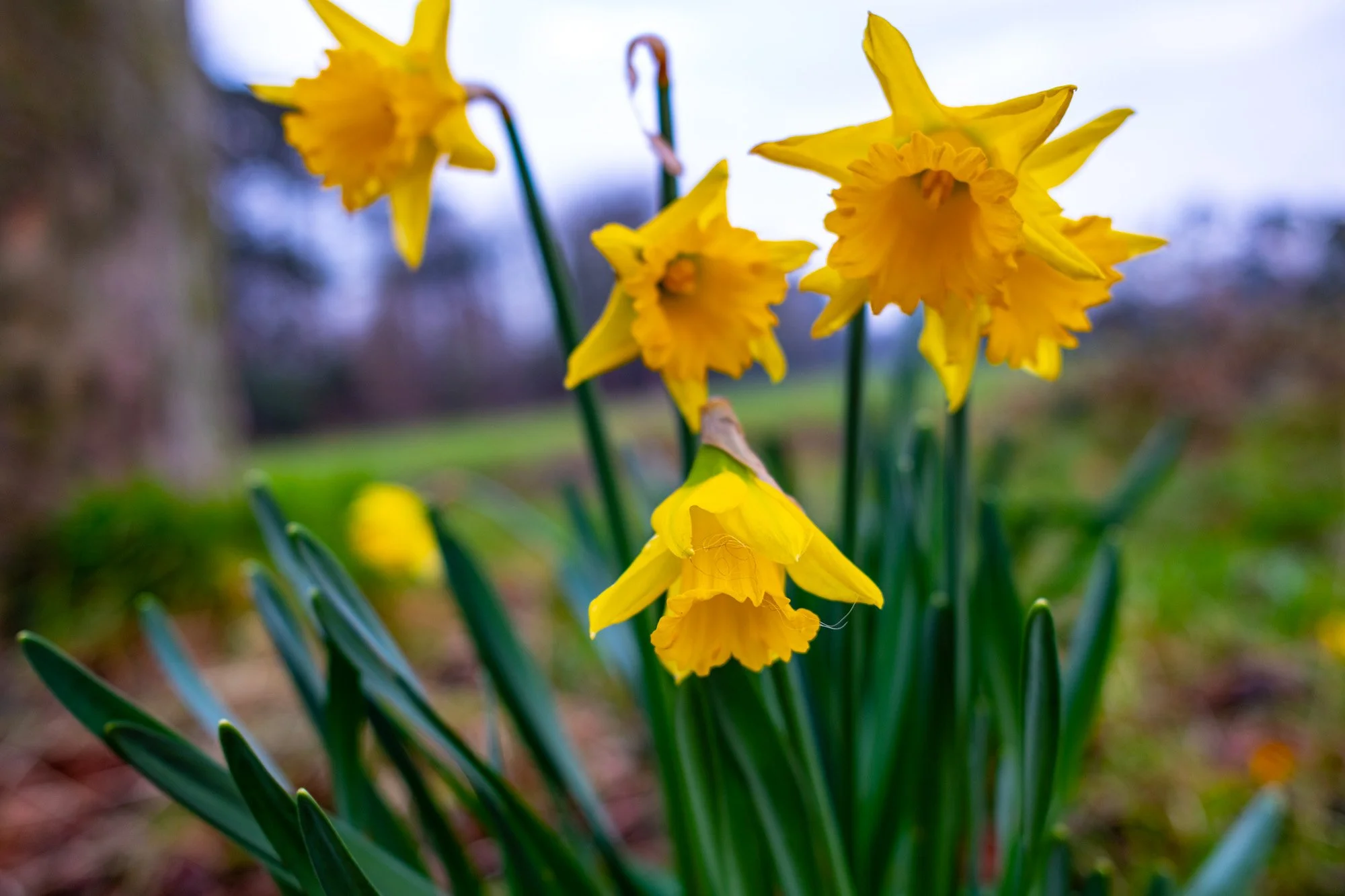 Paying off AI Technical Debt — robmiles.com