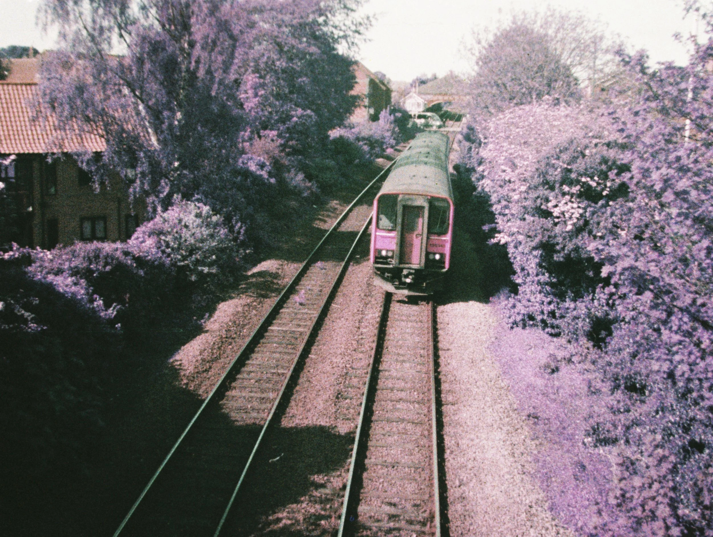 Lomomatic 110 Camera with Purple Film — robmiles.com