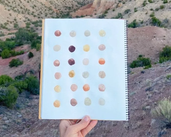 OUR TOURS | ACE CAMPS TRAVEL COMPANY