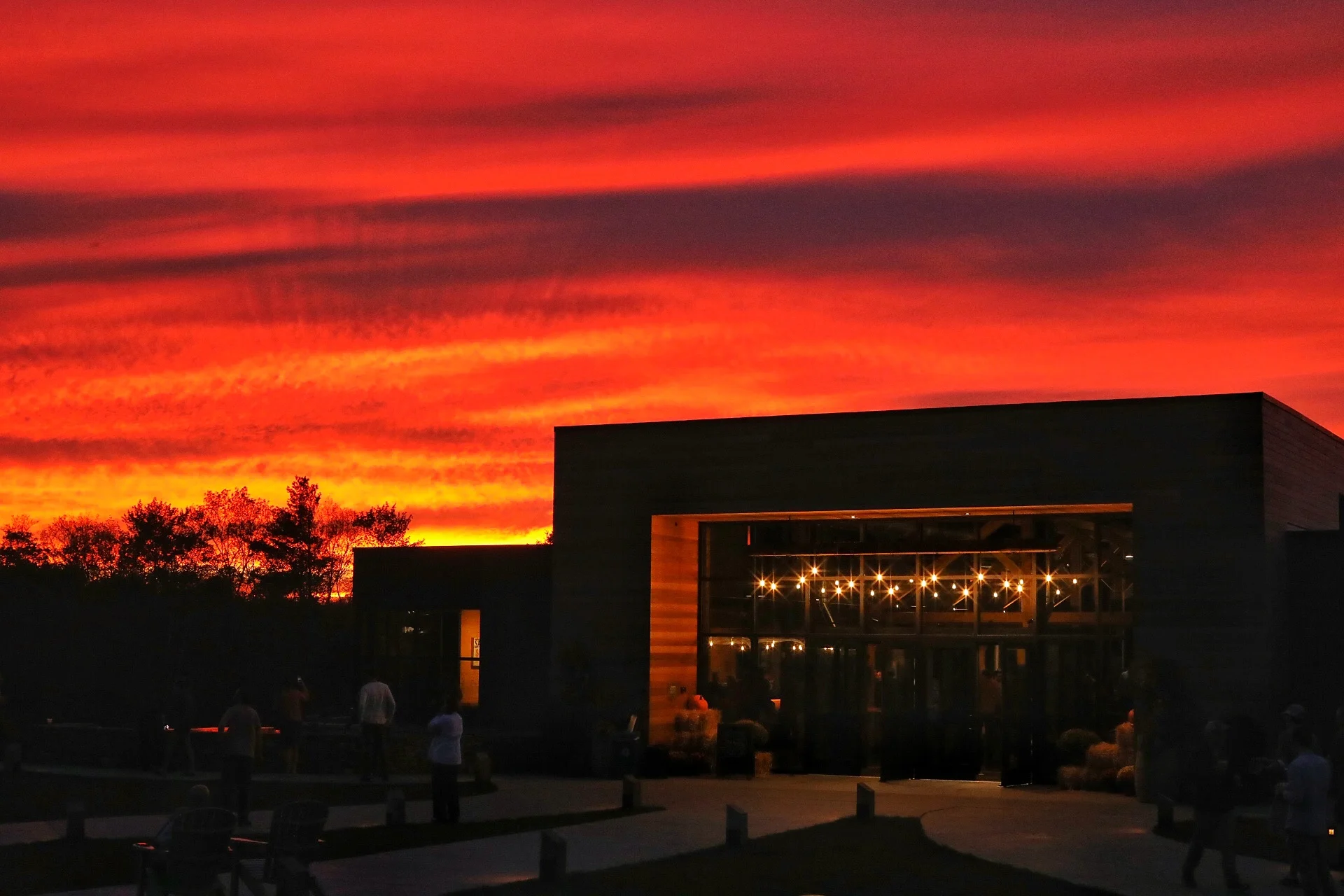 Tree House Brewing Co.