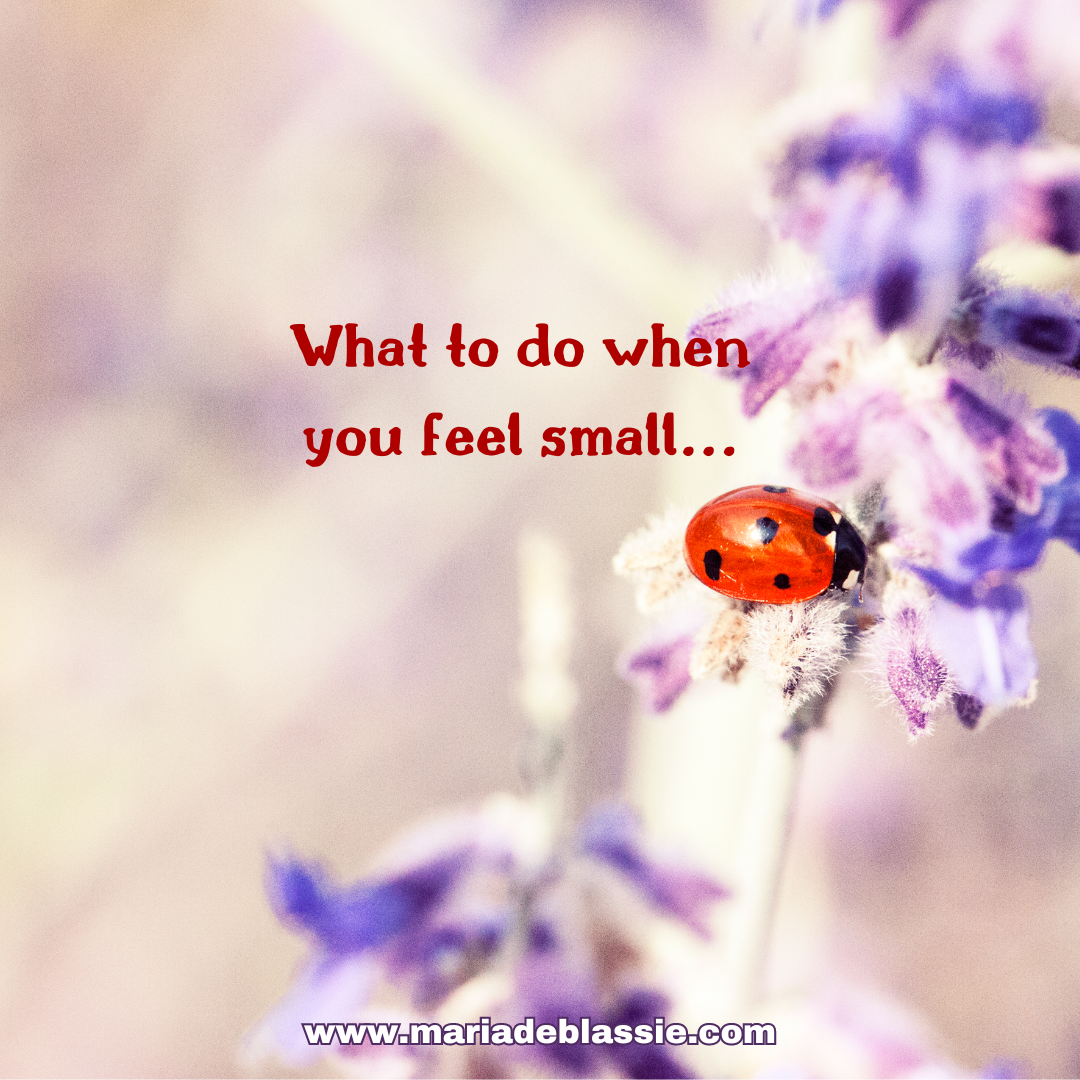 What To Do When You Feel Small… — Dr. Maria DeBlassie