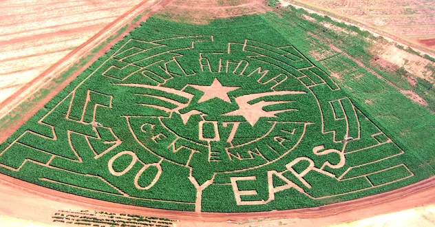 P Bar Farms the Corn Maze
