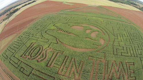 P Bar Farms the Corn Maze