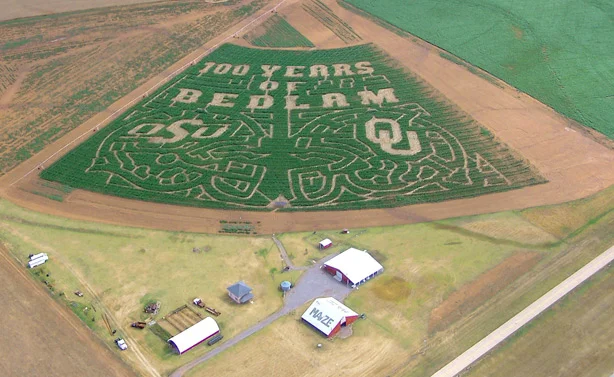 P Bar Farms the Corn Maze