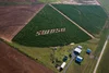 P Bar Farms the Corn Maze