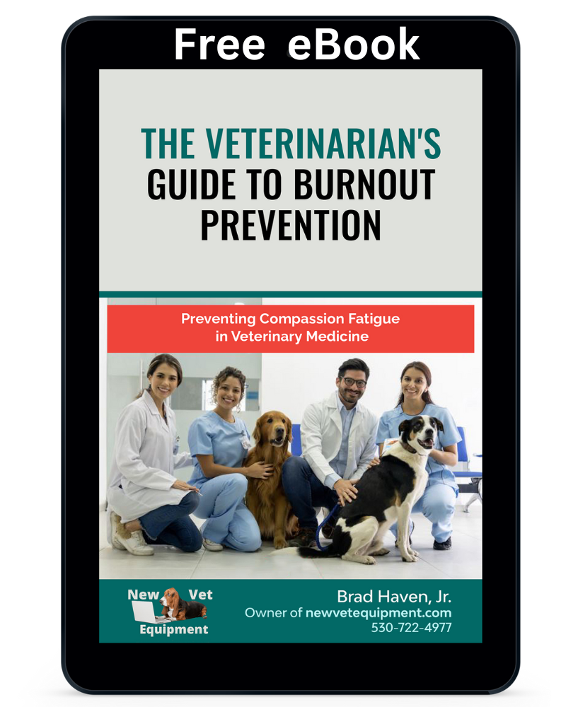 Overactive Scratch Reflex In Dogs: Is This A Problem? — Used Vet Equipment