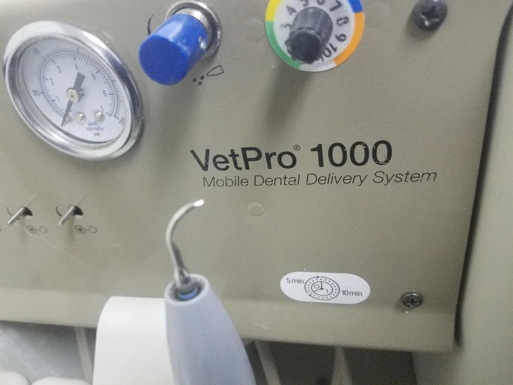 Sold - 3875.00 - DENTAL MACHINE, VETPRO 1000 in San Diego — Used Vet ...