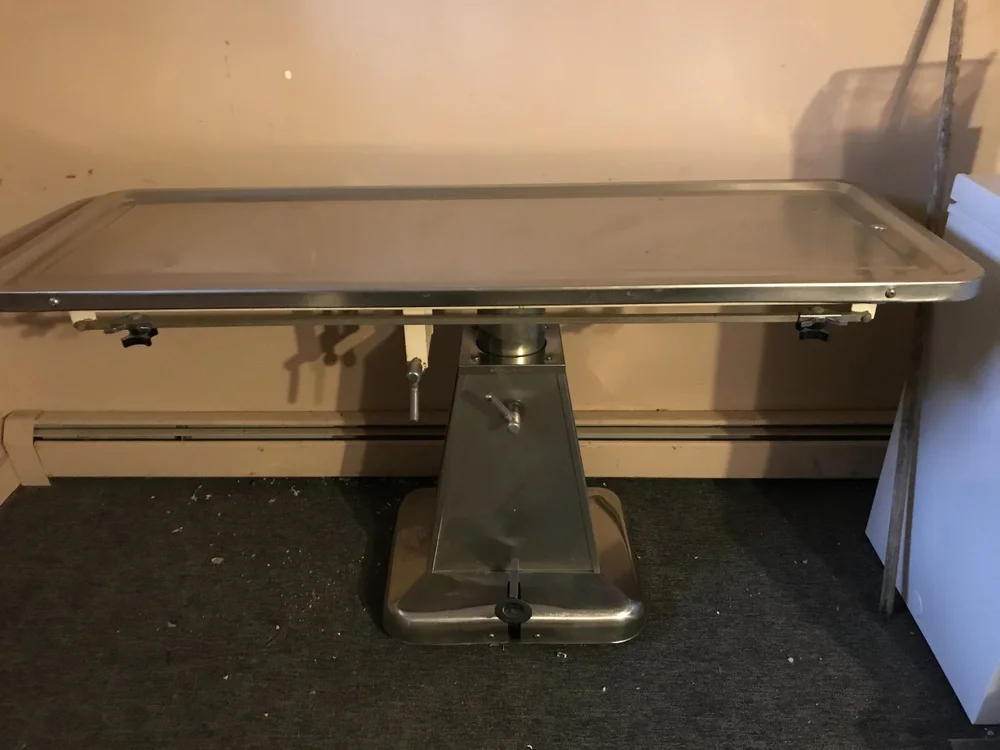 SOLD $500 SOLD Shoreline Hydraulic Surgery Table- Pick up ONLY in ...