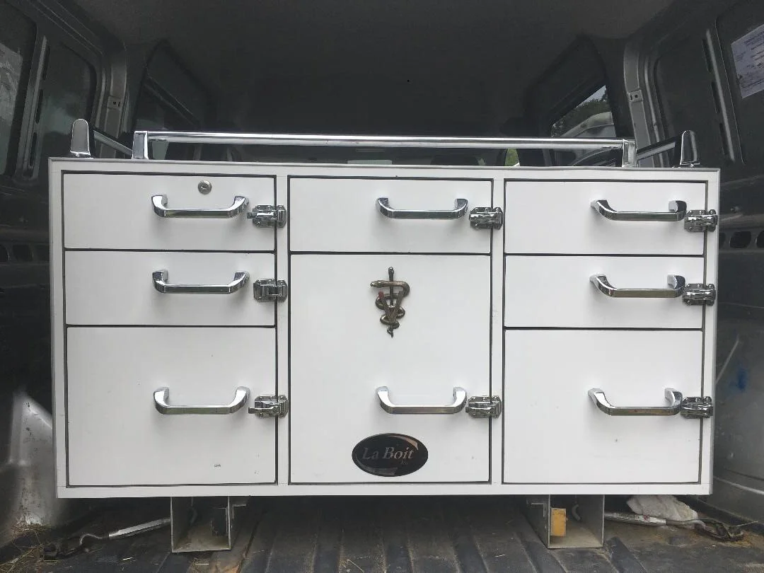 SOLD $950 SOLD Laboit Veterinary Box 8 Drawer in Virginia — Used Vet ...