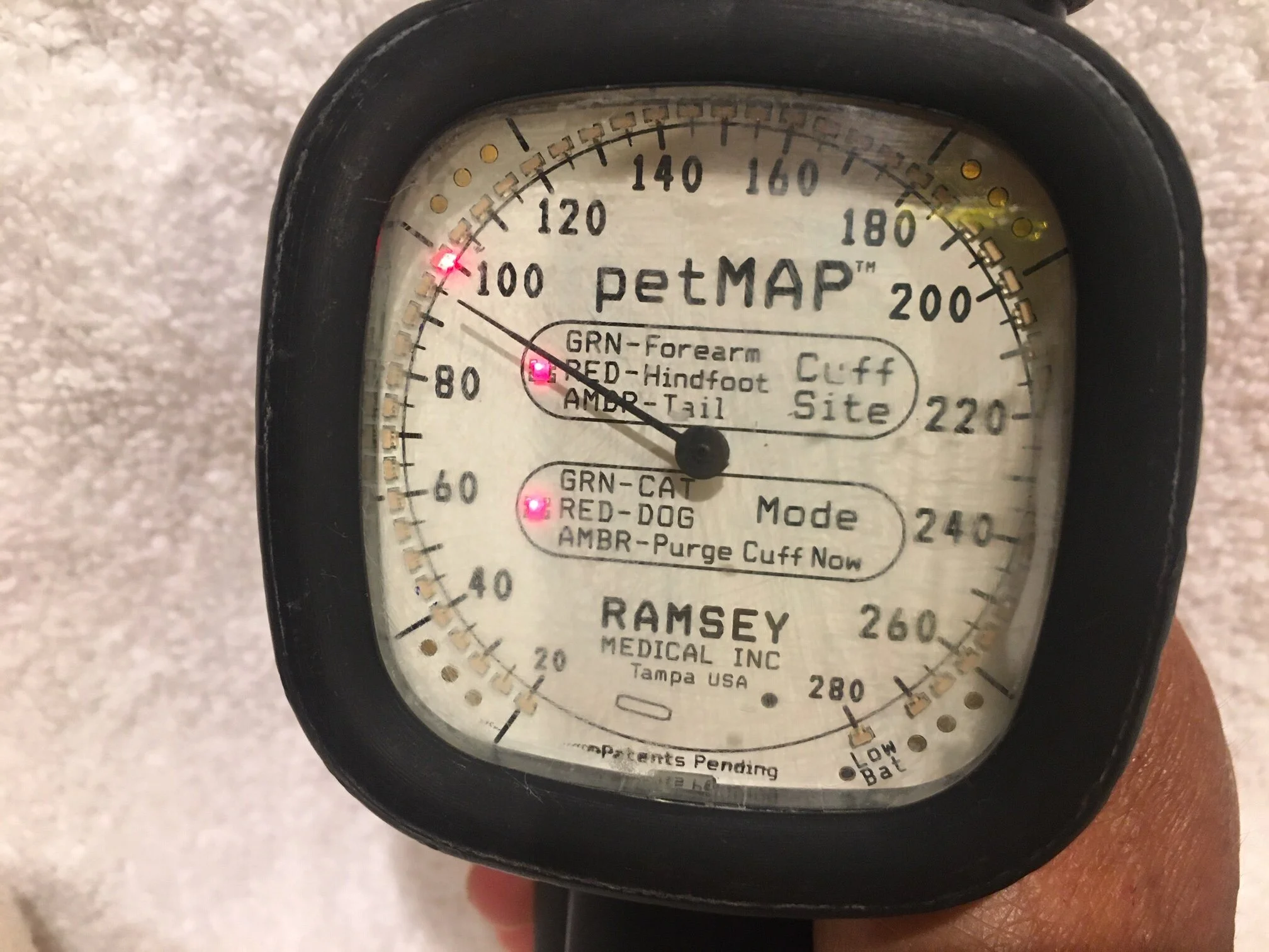 SOLD $550 SOLD 2006 PetMap — Used Vet Equipment
