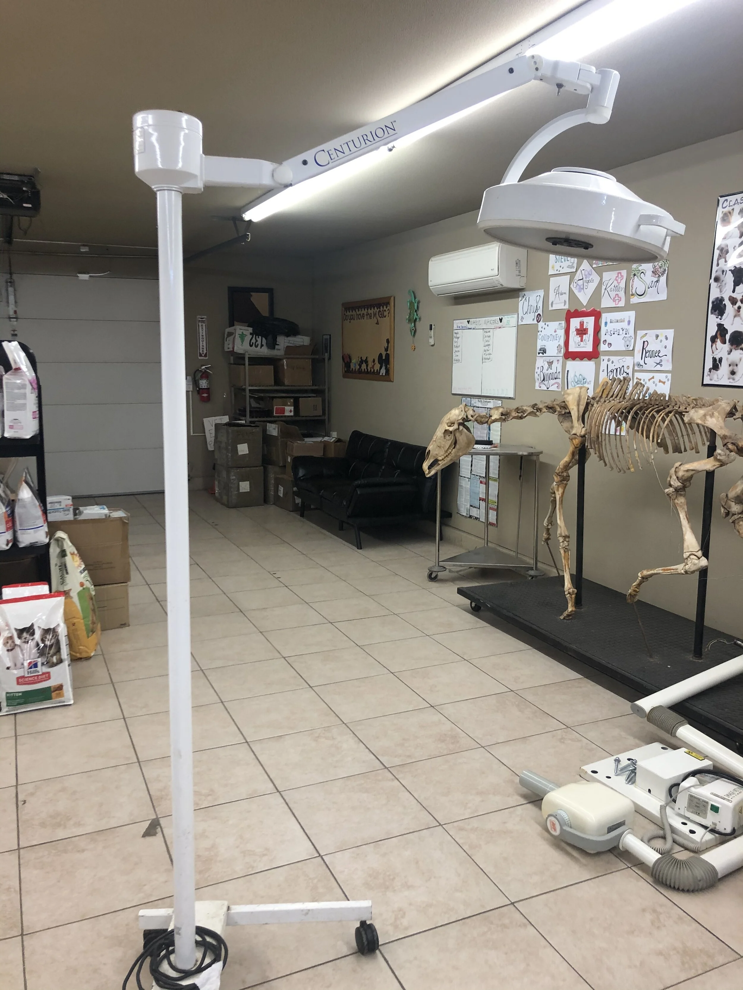 SOLD $100 SOLD 2 Centurion portable halogen surgery lights - Pick up ...