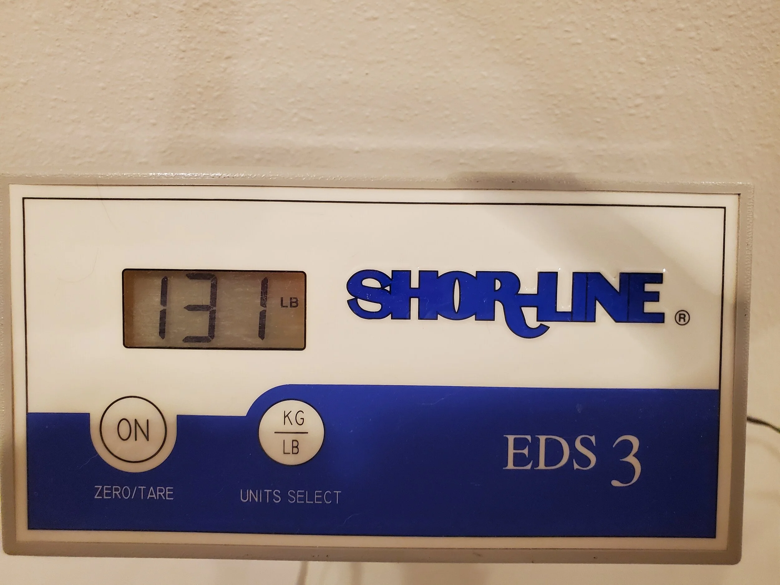 SOLD $100 SOLD Digital walk on scale - PICK UP ONLY in the greater ...