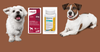 Galliprant Vs Rimadyl: Pros & Cons of Both for Your Pet — Used Vet ...