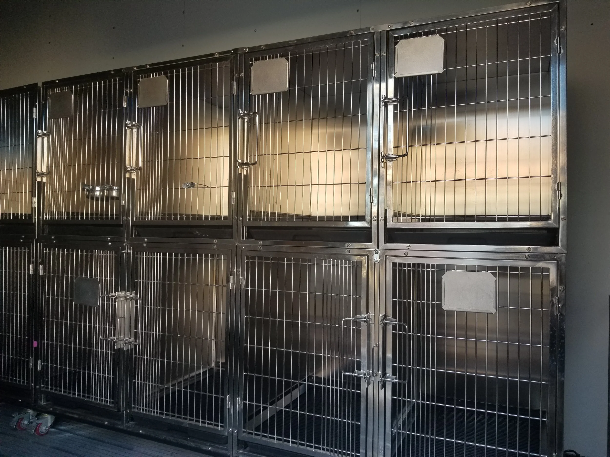 SOLD $6000 SOLD 24 Custom Stainless Steel Cages - LOCAL PICK UP ONLY in ...