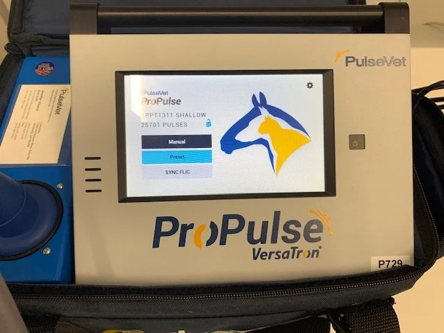 Equine Equipment — Used Vet Equipment