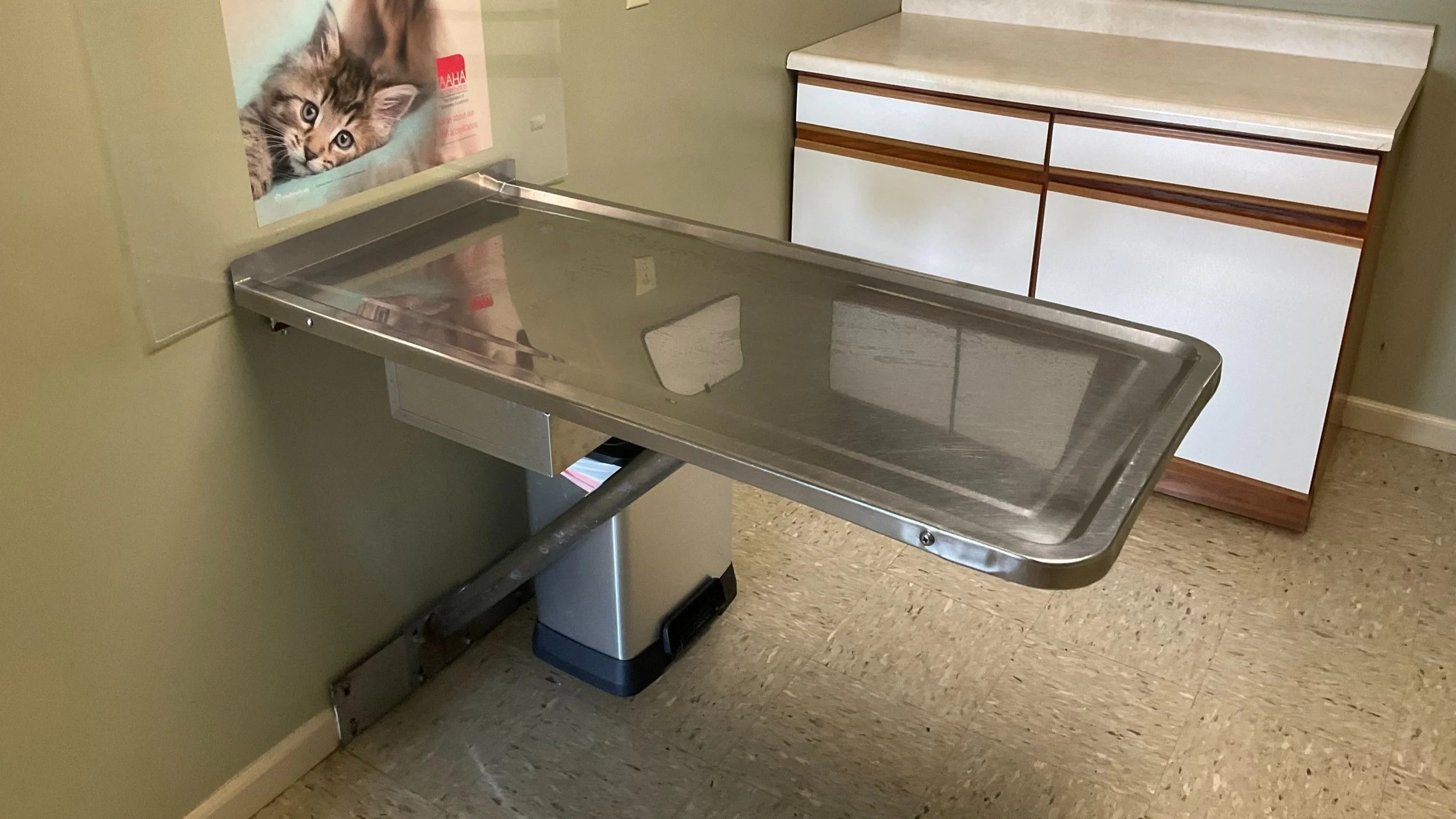 Tables / Sinks / Scales / Lighting — Used Vet Equipment