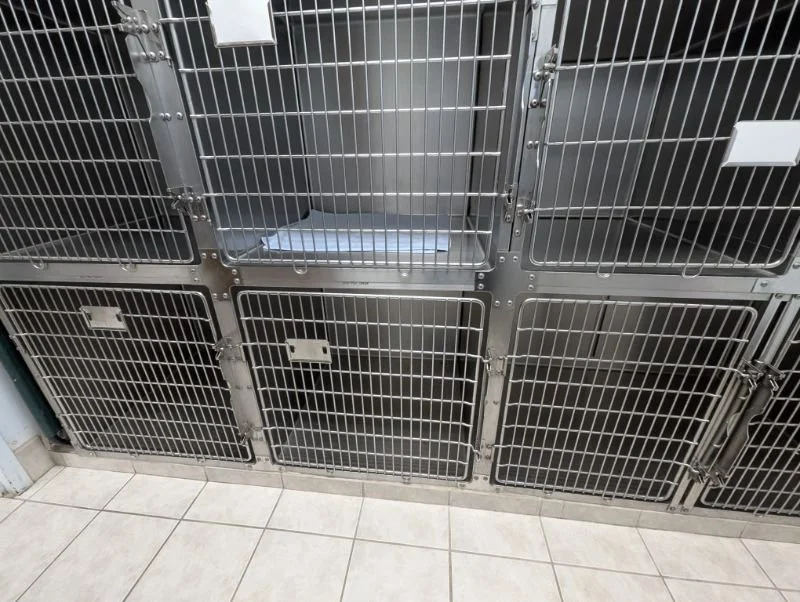 Cages-Kennel equipment — Used Vet Equipment