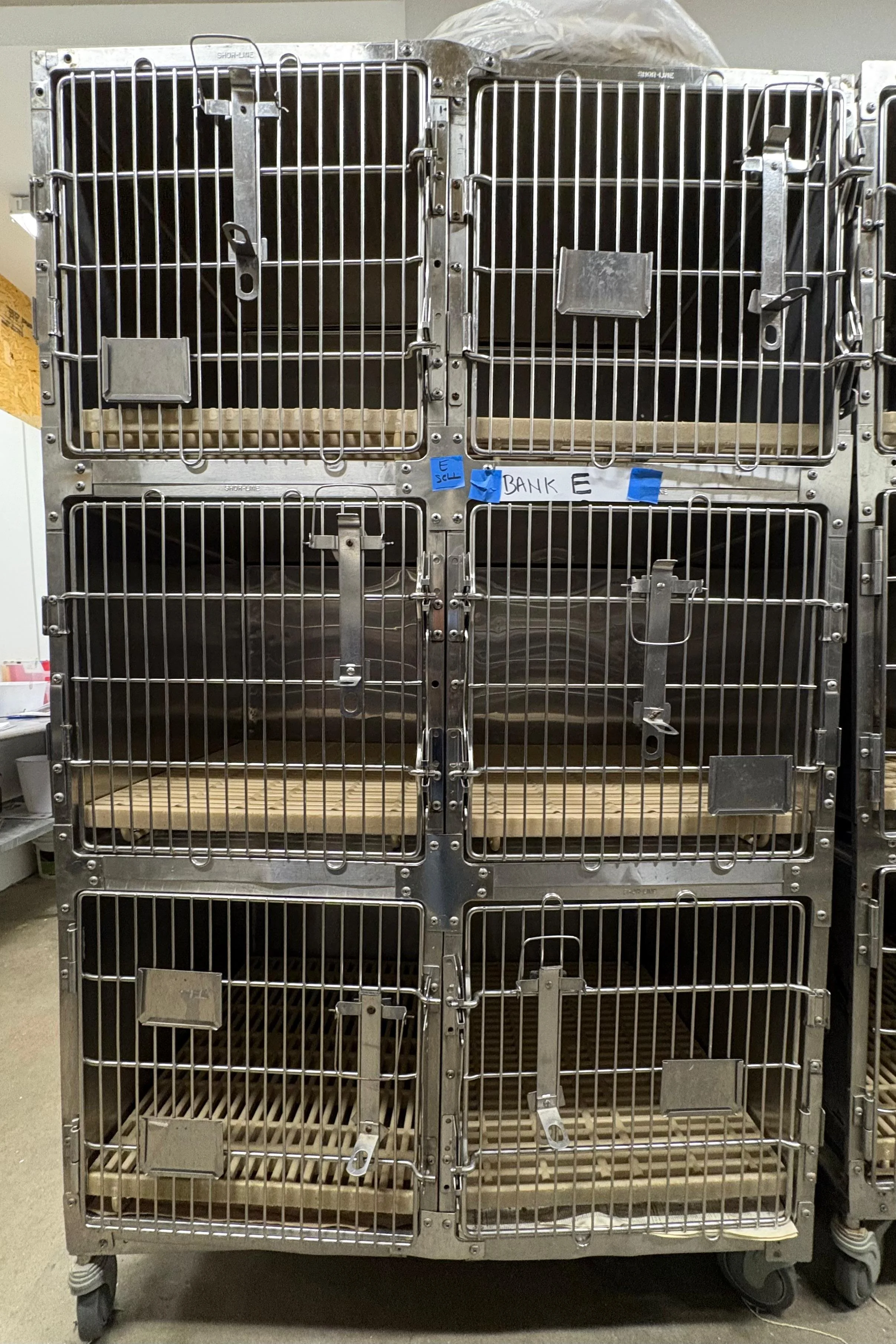 Cages-Kennel equipment — Used Vet Equipment