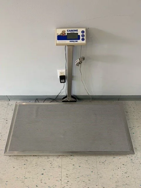 Tables / Sinks / Scales Tubs — Used Vet Equipment