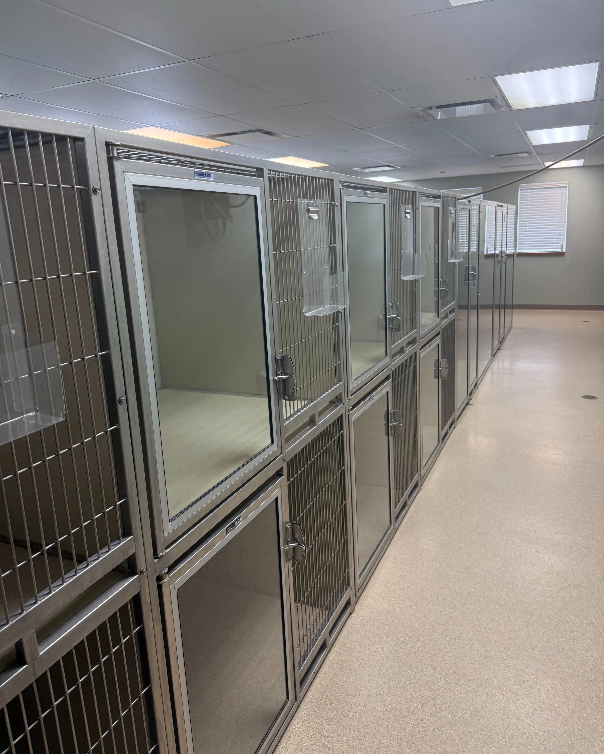 Cages-Kennel equipment — Used Vet Equipment