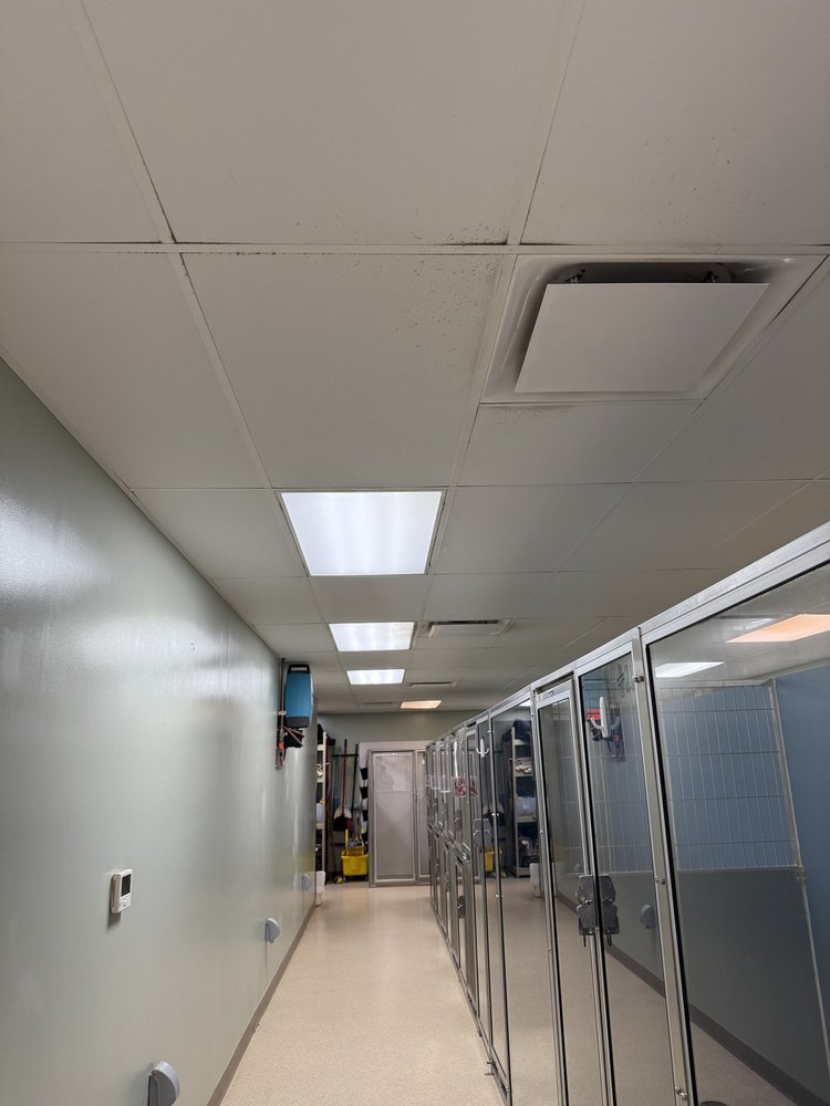 Cages-Kennel equipment — Used Vet Equipment