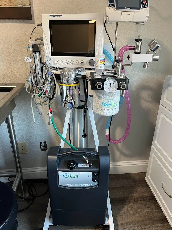 Dental / Anesthesia / Autoclave / Surgery — Used Vet Equipment