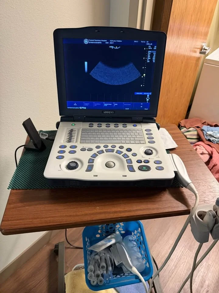 SOLD $11,000 SOLD PRICE DROP!! 2020 LOGIQ V1 Ultrasound — Used Vet ...