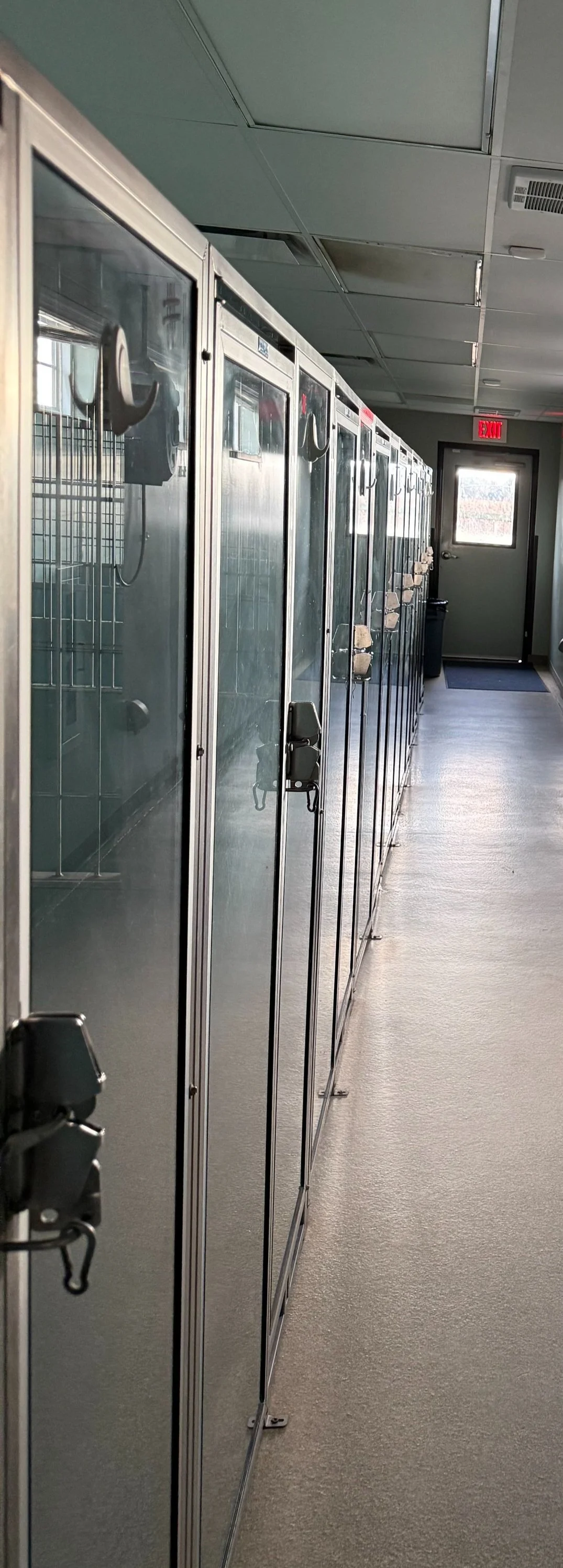 Cages-Kennel equipment — Used Vet Equipment