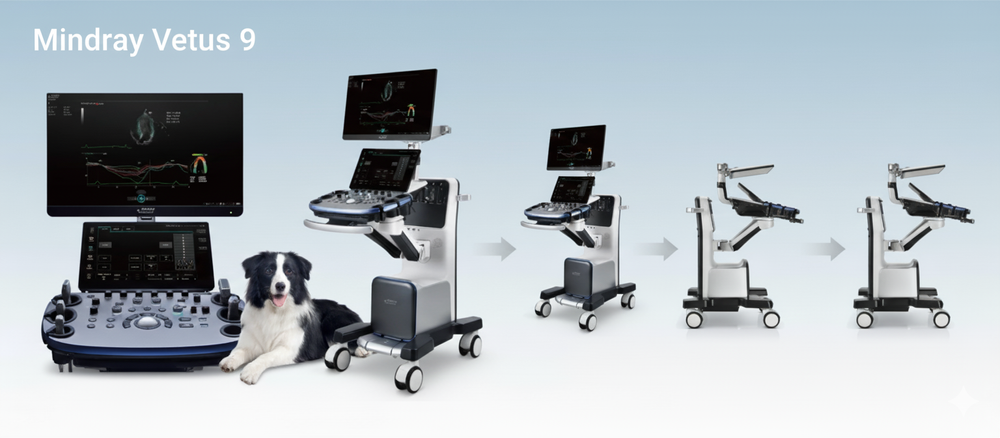 Ultrasound — Used Vet Equipment