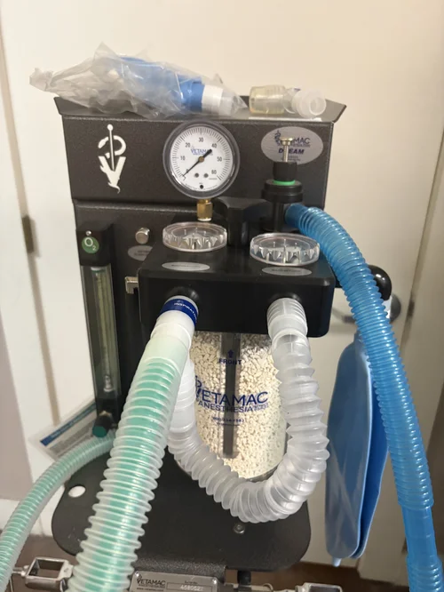 SOLD SOLD - 2020 Vetamac DREAM Anesthesia Machine - LOCAL PICK UP ONLY ...