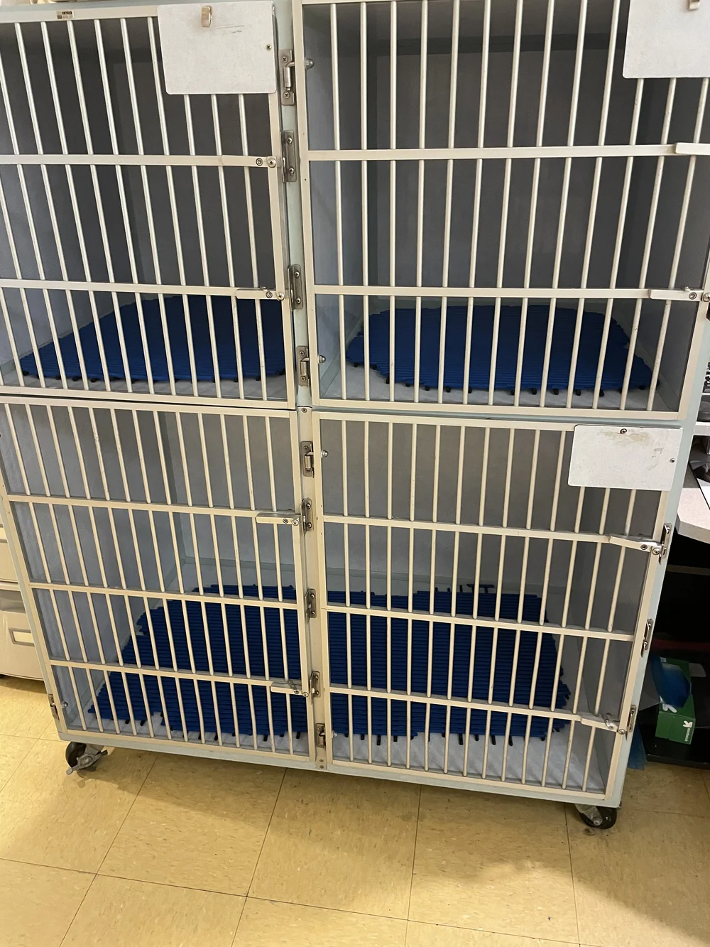 SOLD $700 SOLD Snyder modular cage bank on rolling casters - Local pick ...