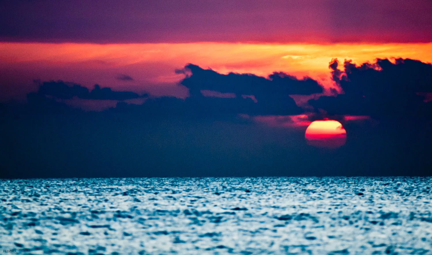 Henry Chou Photography