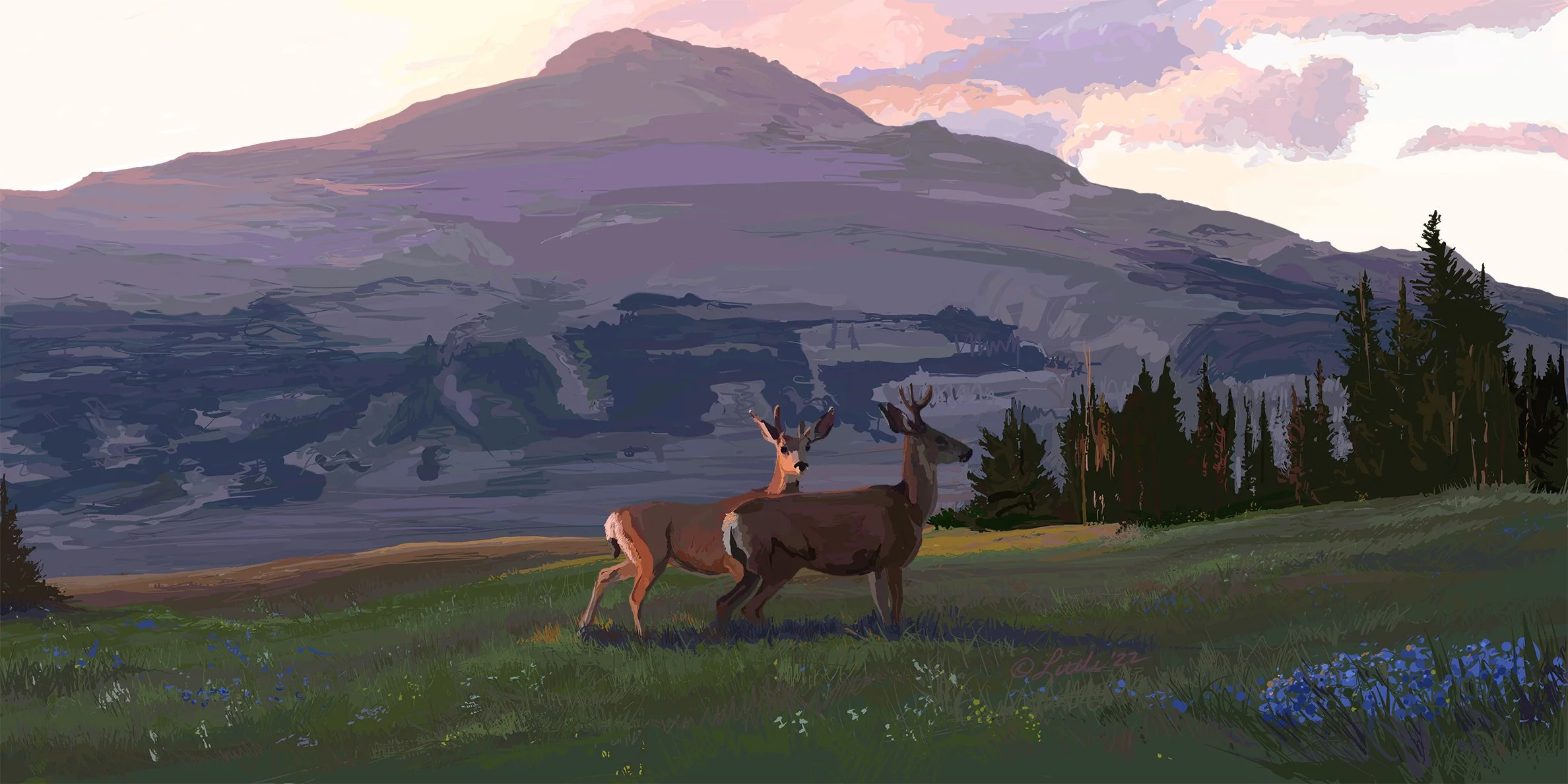 Pam Little, MA, FAMI