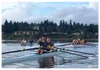 Youth Summer Camp — Oregon Rowing Unlimited - PDX