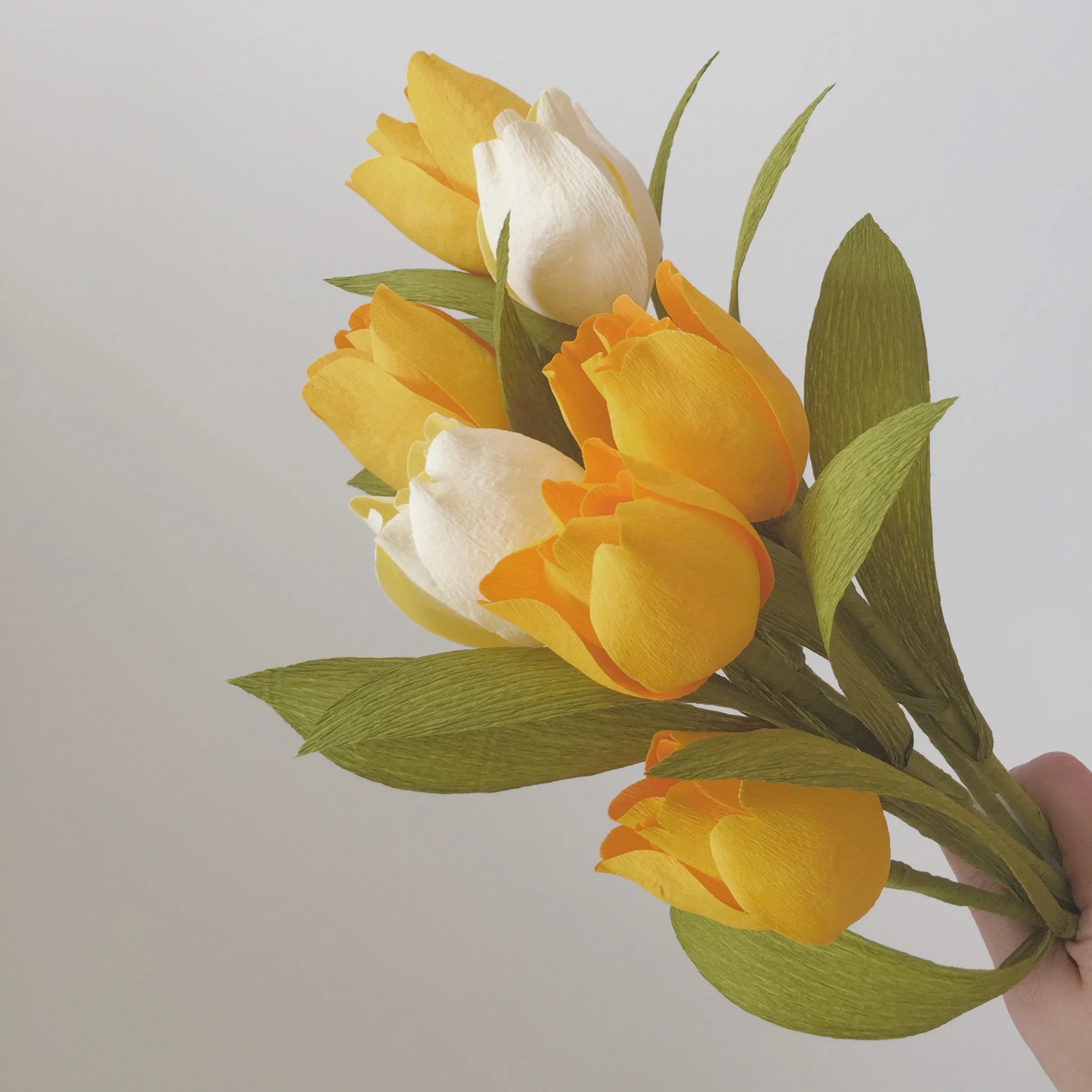 Blooming with May Flowers — blooms in the air