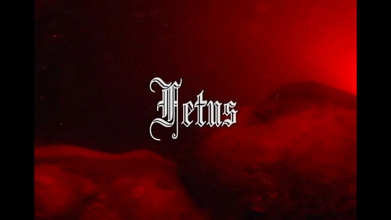 Fetus (2008) — Triskaidekafiles