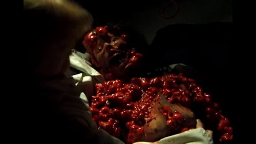 Fetus (2008) — Triskaidekafiles