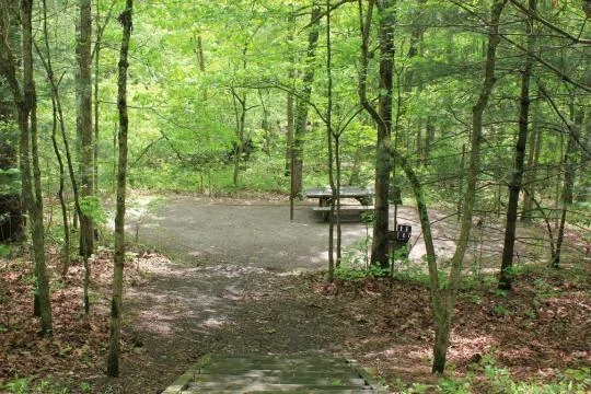 American Land & Leisure - Grove Campground near Corbin, KY - Virtual Tour