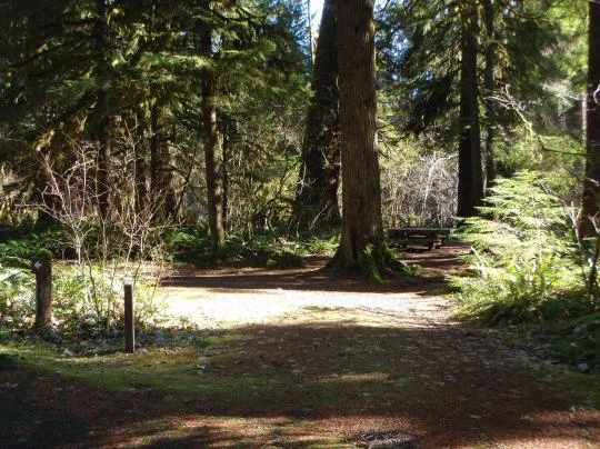 American Land & Leisure - Delta Campground, McKenzie River, Oregon ...