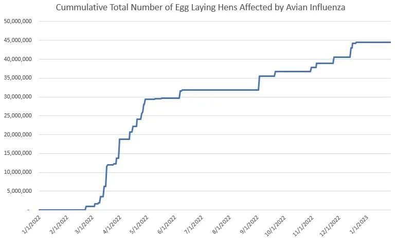 Egg Prices and Avian Influenza - A Deep Dive — Jayson Lusk